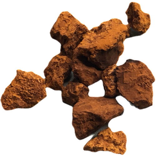Chaga Chunks – Urban Mystic